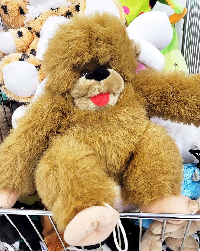 This teddy bear has seen things, but he's ready for a second chance at being someone's beloved companion – plush resurrection at its finest.