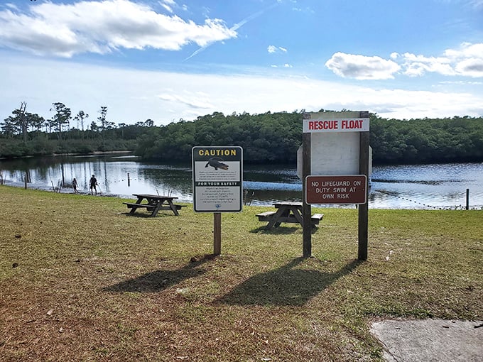 Swimming area signs remind visitors that in Florida, we share our waterways with prehistoric residents who don't always respect park boundaries.