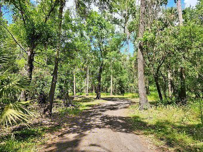 Natural Florida reveals itself along shaded trails near the Peace River. This is the Florida that existed before mouse ears and beach umbrellas took over
