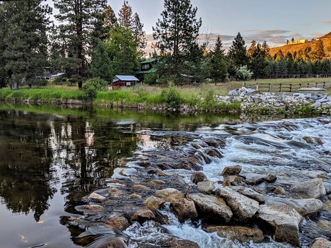 Water tumbling over ancient stones creates nature's soundtrack—the perfect white noise app couldn't compete with this genuine Methow Valley lullaby.
