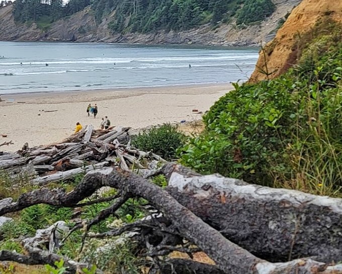 Driftwood-dotted shores and surfers in the distance—Short Sand Beach offers Oregon's coastal magic without the crowds.