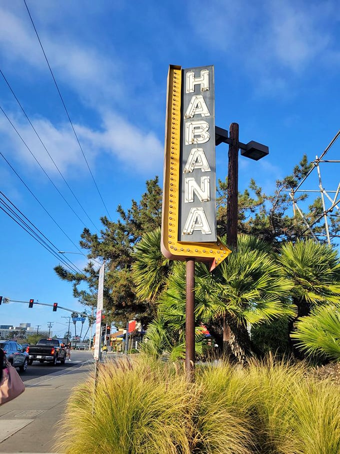 That vintage-style sign pointing the way proves good marketing never goes out of style, especially with palm trees flanking it.
