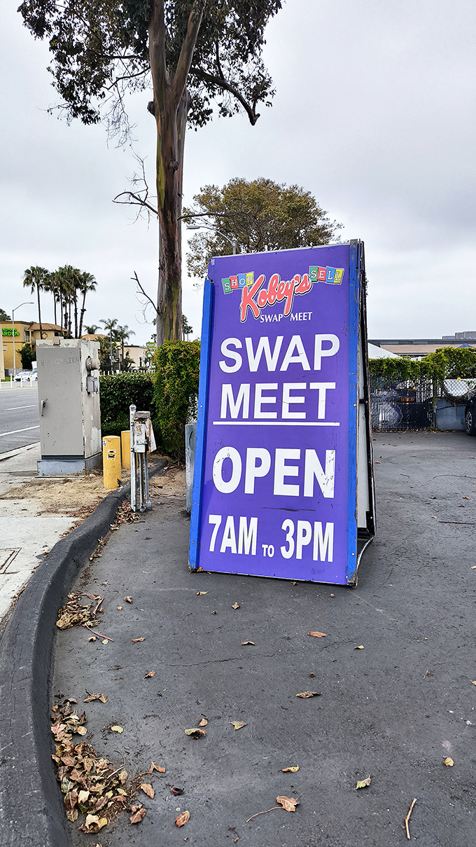 The purple beacon of bargain hunting stands tall. This sign has guided generations of treasure seekers to their weekend happy place.