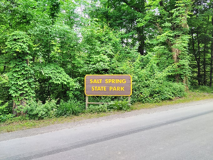 The unassuming entrance sign—Pennsylvania's equivalent of a speakeasy door, hiding natural wonders behind its modest appearance.