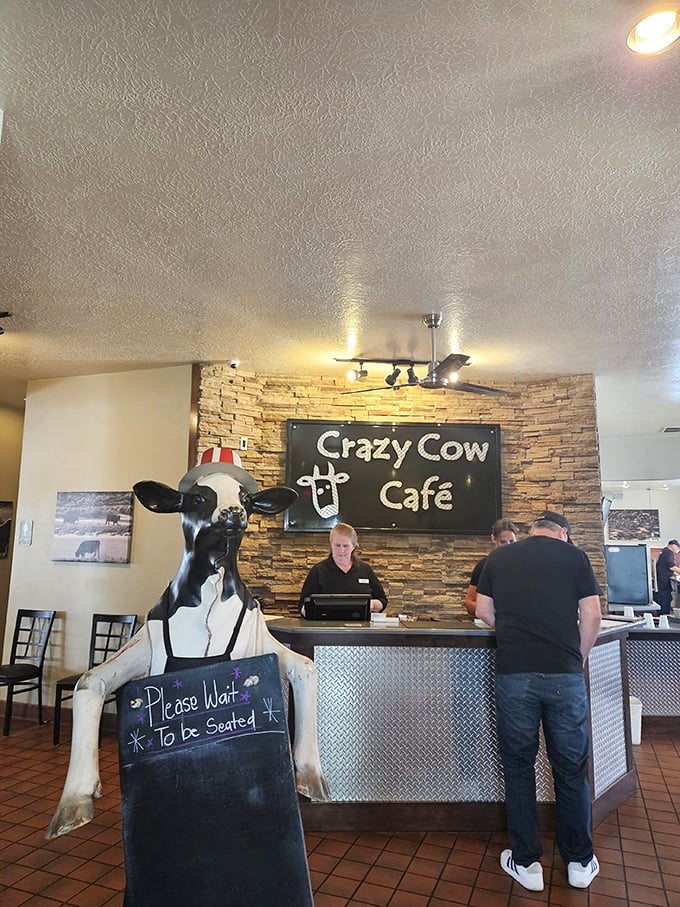 Greeted by a life-sized cow holding the "Please Wait" sign—because when food is this good, even the statues have jobs to do.