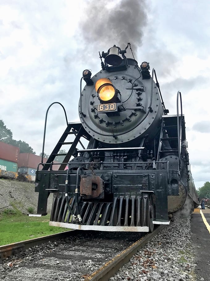 Steam locomotives occasionally make appearances, their whistles echoing through valleys like ghosts of railroad past.