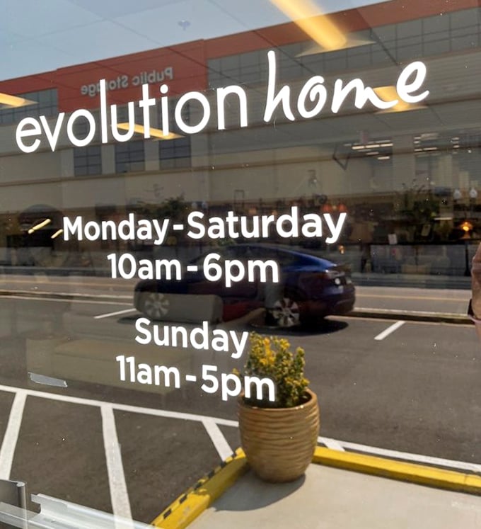 "Evolution Home welcomes treasure hunters six days a week. The hardest part isn't finding something you love – it's stopping at just one thing."
