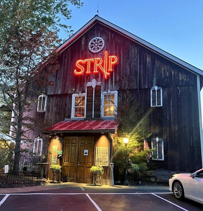 As dusk falls, the neon STRIP sign transforms from quirky to magical—beckoning hungry travelers like a carnivorous North Star.