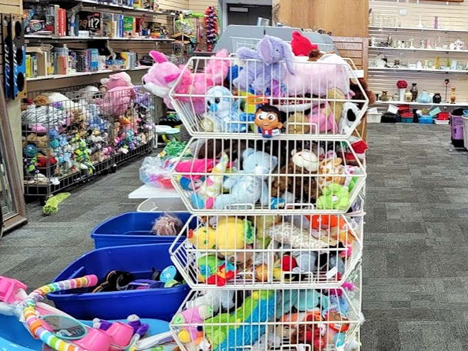 A stuffed animal avalanche waiting to happen – every childhood companion you remember is probably in there.