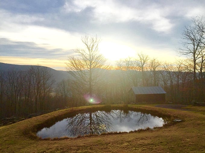As the sun bids farewell to Highland County, it leaves behind a promise to return. This tranquil pond perfectly captures the essence of mountain serenity.