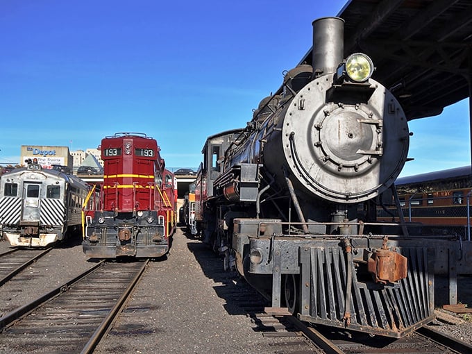 The museum's collection showcases the evolution of rail power – from steam's dramatic flourish to diesel's utilitarian muscle.