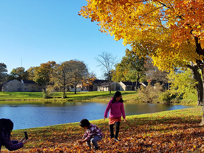 Fall foliage creates a spectacular backdrop for family fun at Truman Lake. Children delight in nature's simplest pleasure—a pile of crunchy leaves perfect for jumping, throwing, and creating childhood memories.