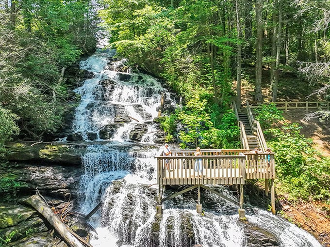 Nature's own waterfall staircase at Vogel State Park. The sound of rushing water here makes every meditation app on your phone completely unnecessary.