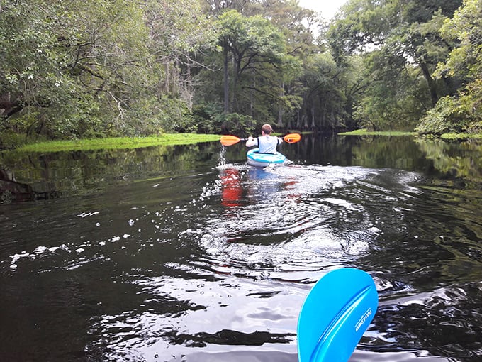 Peaceful paddling through cypress-lined waters – nature's therapy session without the hourly rate. Florida's wild side at its most accessible.