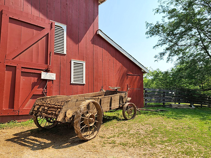 This weathered wagon has more authentic character than anything you'll find at a home décor store selling "farmhouse chic" for ten times the price.