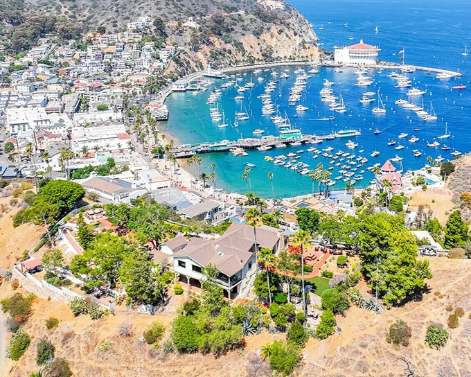 The ultimate bird's-eye view of Avalon's curved bay shows why this island gem has been California's favorite escape since the days of silent films.