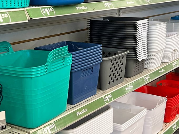 Storage solutions in every color and size—because controlling chaos shouldn't cost more than the items being organized.