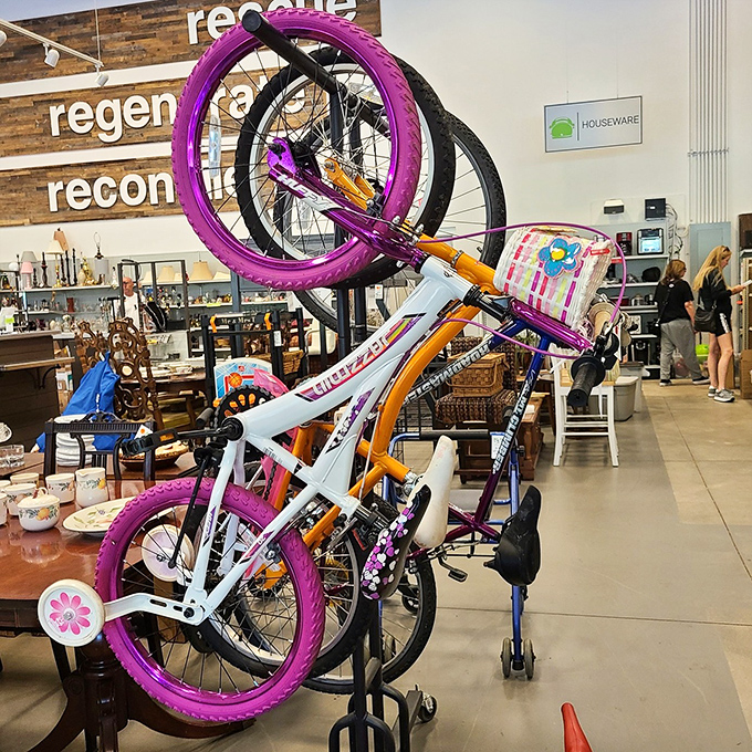 Bicycles in vibrant colors stand ready for new adventures. That purple and orange beauty isn't just transportation—it's childhood joy recycled for the next generation.