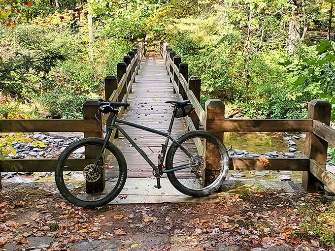 A mountain bike rests on a wooden bridge, pausing between adventures. Two wheels and endless trails—Pennsylvania's version of freedom.