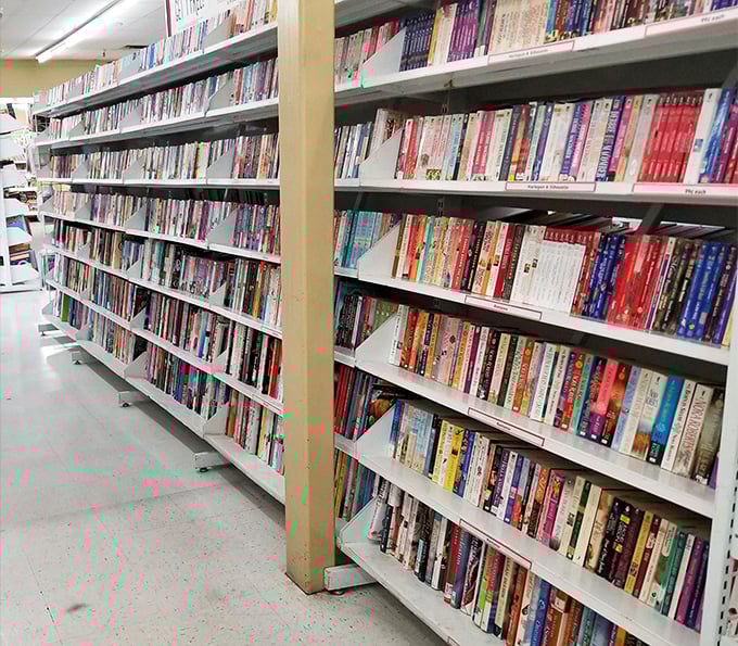 Books upon books – literary treasures at paperback prices, proving that building your own library doesn't require a second mortgage.