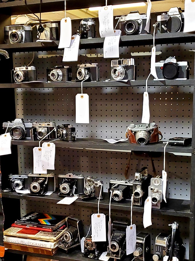 A photographer's dream—vintage cameras that captured weddings, birthdays, and everyday moments long before "selfie" entered our vocabulary.