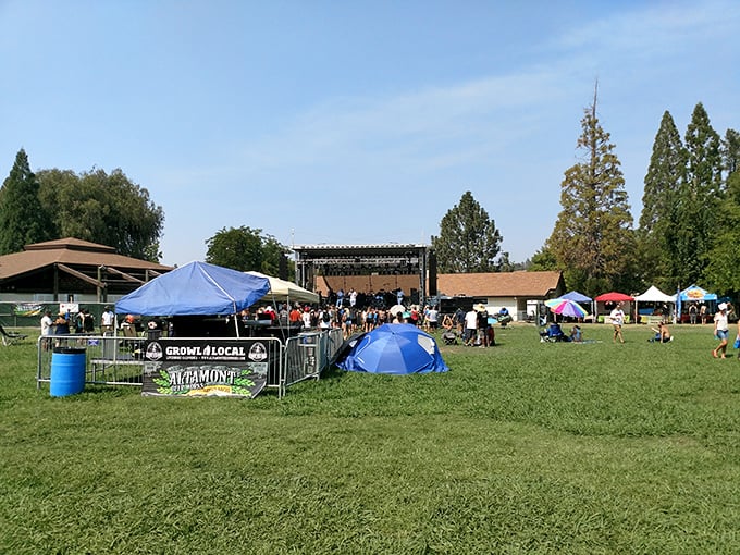 Community gatherings under blue skies – where live music, local food, and neighborly connections happen without needing a second job to afford the tickets.