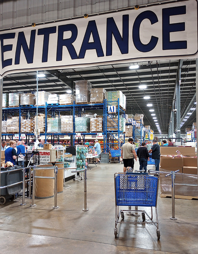 The entrance—where shopping carts wait like chariots ready to transport you into a discount adventure. That "ENTRANCE" sign might as well say "Abandon budget constraints, all ye who enter here."