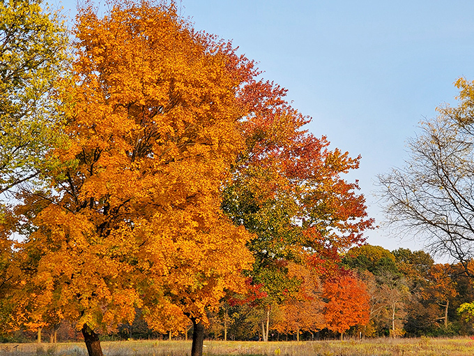 Fall's grand finale performs here annually, no tickets required, standing ovations guaranteed by the trees themselves.