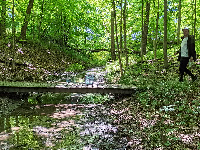 Nature's version of a stepping stone puzzle – cross this stream without getting wet and you've earned your unofficial Illinois explorer badge.