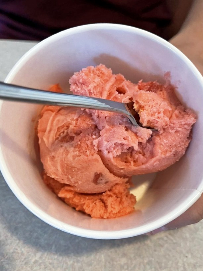 Gelato that doesn't just satisfy your sweet tooth—it throws a party for it. That vibrant color promises a flavor intensity that makes spoons necessary and sharing difficult.