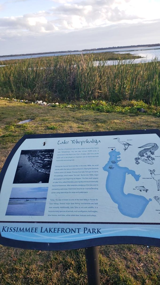 Educational signage reveals Lake Tohopekaliga's rich ecosystem—home to alligators, bald eagles, and countless Florida stories.