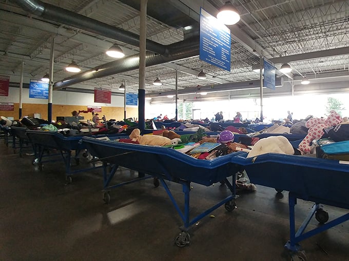 The grand panorama of possibility—row after row of blue bins stretching toward thrifting nirvana in this Omaha treasure temple.