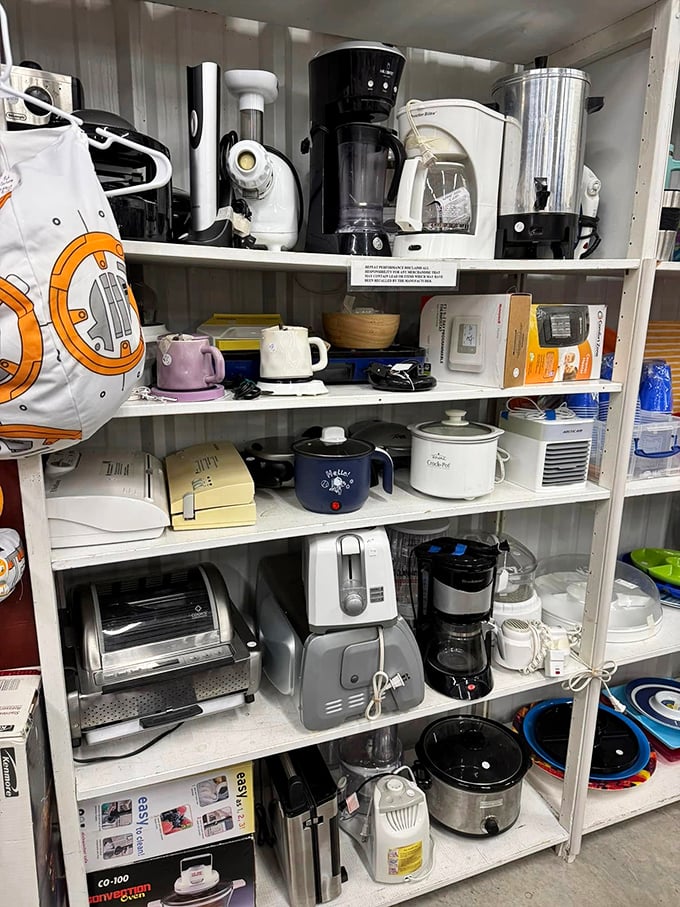 The small appliance section—where kitchen dreams and good intentions find second homes at prices that won't toast your budget.