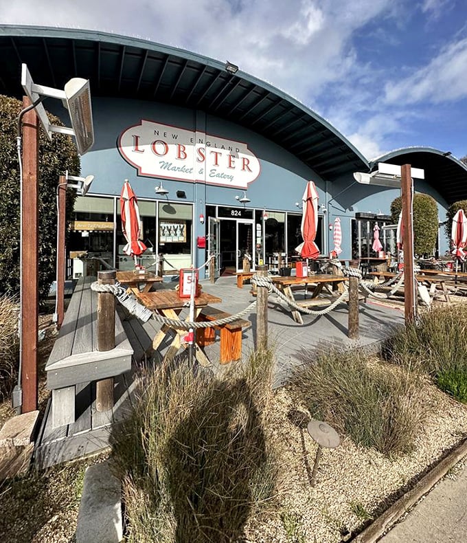 Beach vibes without the beach—rustic outdoor seating surrounded by coastal grasses creates the perfect seafood sanctuary minutes from SFO.
