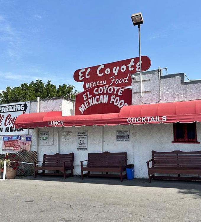 Those outdoor benches aren't just for waiting—they're for the sacred pre-meal ritual of building anticipation for the chips and salsa to come.