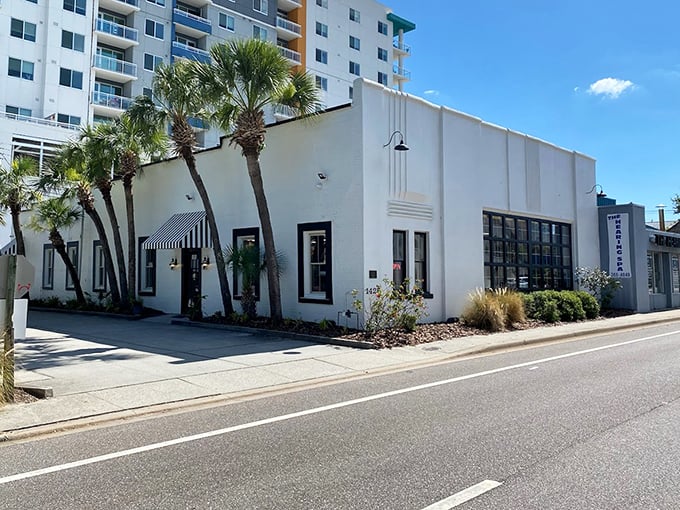 From the street, you'd never guess the wonderland within. Those palm trees stand like sentinels guarding the gateway to vintage paradise.