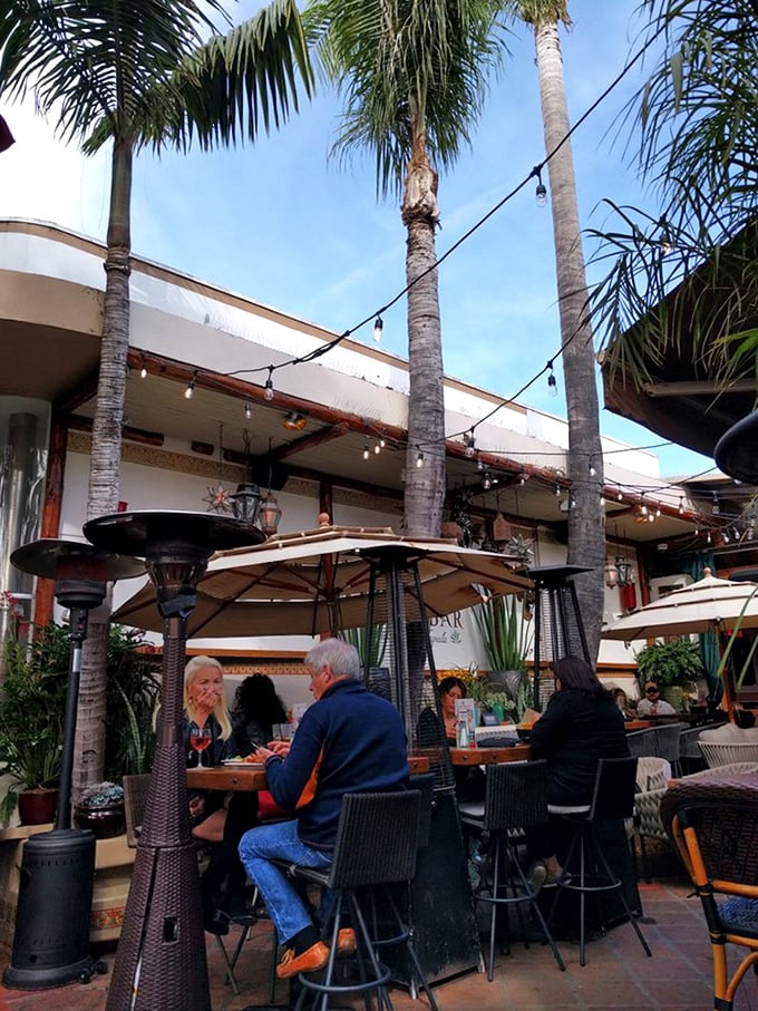 The outdoor patio, with its towering palms and string lights, transforms ordinary Tuesday dinners into mini-vacations without the TSA pat-down.