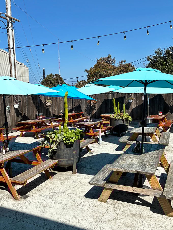 The outdoor seating area—where seafood meets sunshine. Those weathered picnic tables have hosted more memorable meals than many five-star restaurants.