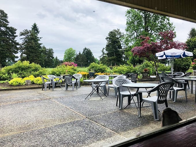 Outdoor seating surrounded by lush greenery. Where breakfast with a view isn't just a saying—it's the daily special.