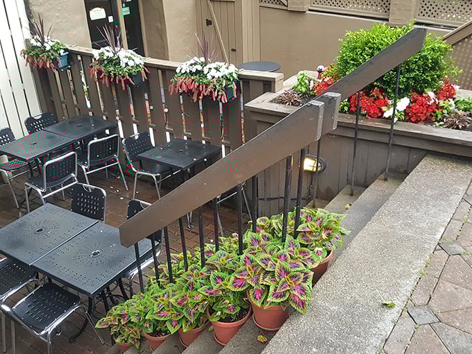 Outdoor seating where flowers compete with the food for attention, and somehow everybody wins.