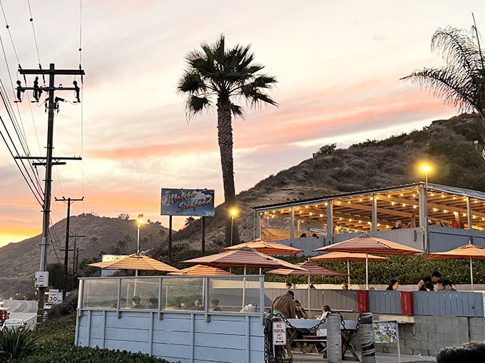 As day turns to dusk, Malibu Seafood transforms into a magical seaside haven. The string lights aren't just illumination—they're nature's way of saying "stay awhile."