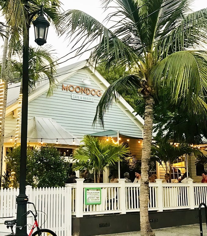 As evening approaches, Moondog's exterior glows with invitation—palm trees frame the scene like nature's own welcome committee to this slice of Key West paradise.