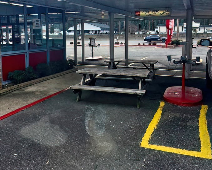 Picnic tables where strangers become temporary neighbors, united by the universal language of "mmm" and "pass the ketchup."