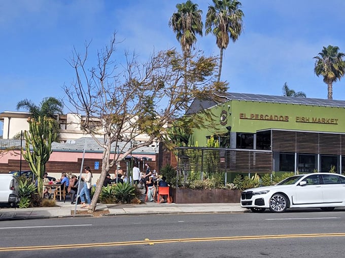 From the street, El Pescador's modest exterior gives little hint of the seafood revelations waiting inside—the best surprises come in unassuming packages.