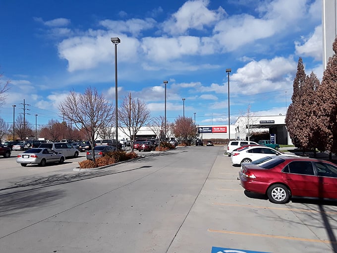 The parking lot fills with cars whose trunks will soon bulge with newfound treasures—Utah's bargain hunters know where the action is.