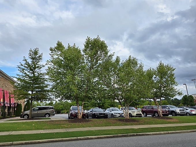 The parking lot's tree-lined perimeter offers welcome shade for your car – and a landmark to remember where you parked after three hours of shopping.