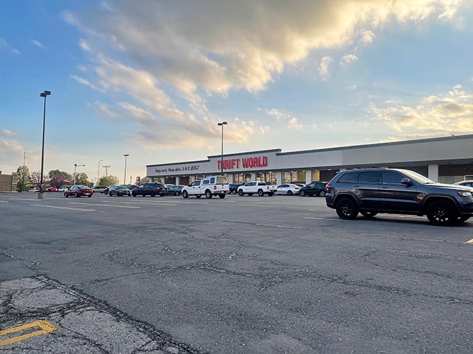 The parking lot at dusk, cars lined up like eager shoppers. Even as the sun sets, the thrill of the hunt continues.