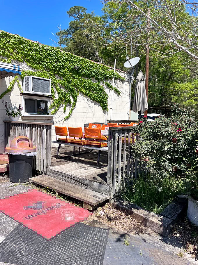 The outdoor seating area, where Clemson orange meets nature's green, offers a peaceful spot to savor your burger while contemplating life's simple pleasures.