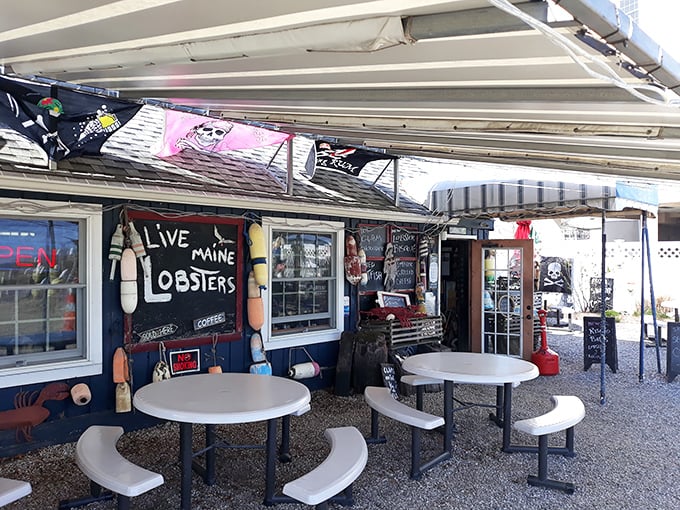 The patio at Stowe's—where "eating outdoors" becomes an event. Those buoys aren't just decoration; they're memories from the very waters your lunch came from.