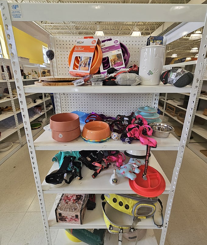 Pet paradise! From carriers to feeding dishes, this section ensures even your four-legged family members can benefit from your thrifting adventures.